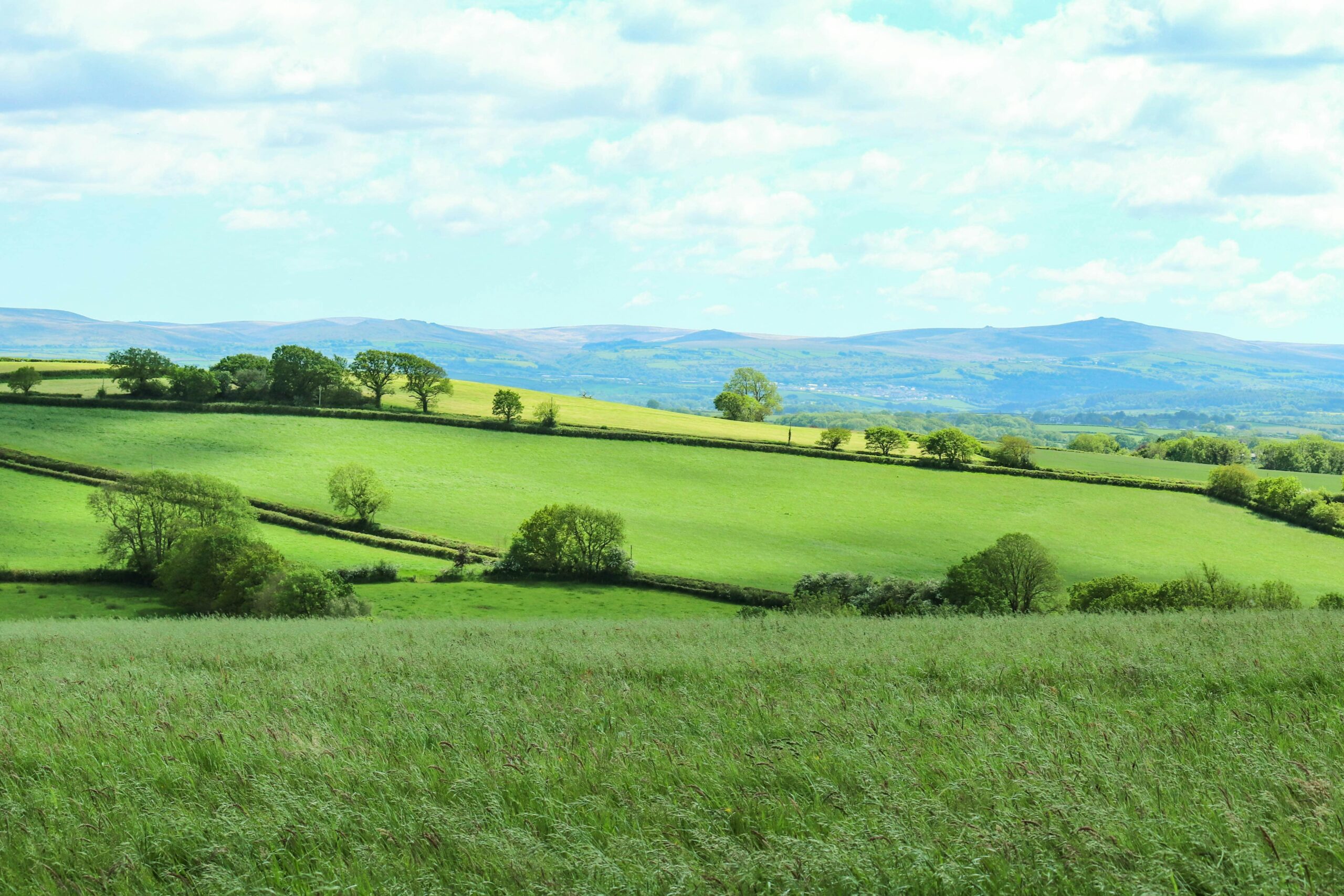 10 Of The Best Coffee Shops In & Around Cullompton, Devon 2026 ...